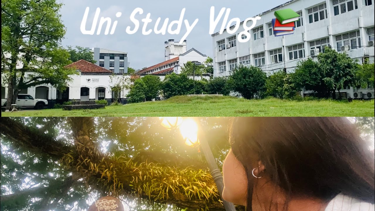 Study Vlog 📚 | Uni එකේ දවසක් 😍 | University of Colombo | UCSC - YouTube