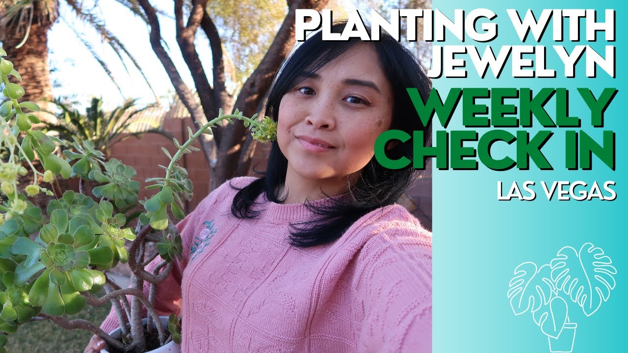 Planting with Jewelyn: Plant talk, new blooms + pop up dates | week 153 ...