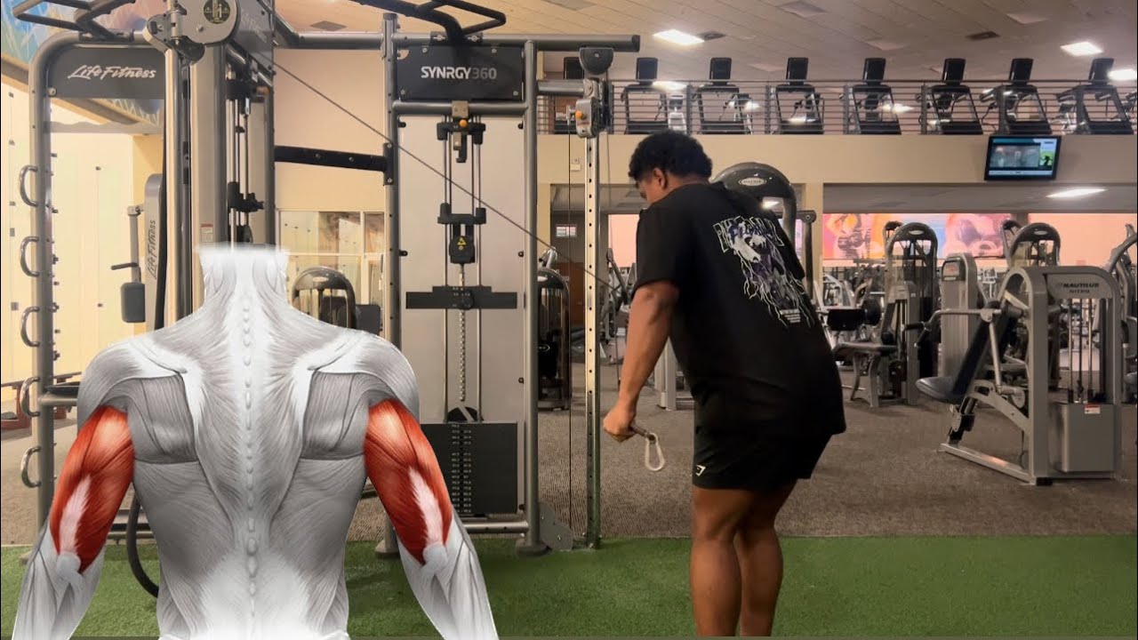 BEST TRICEP WORKOUT How To Train Triceps - YouTube