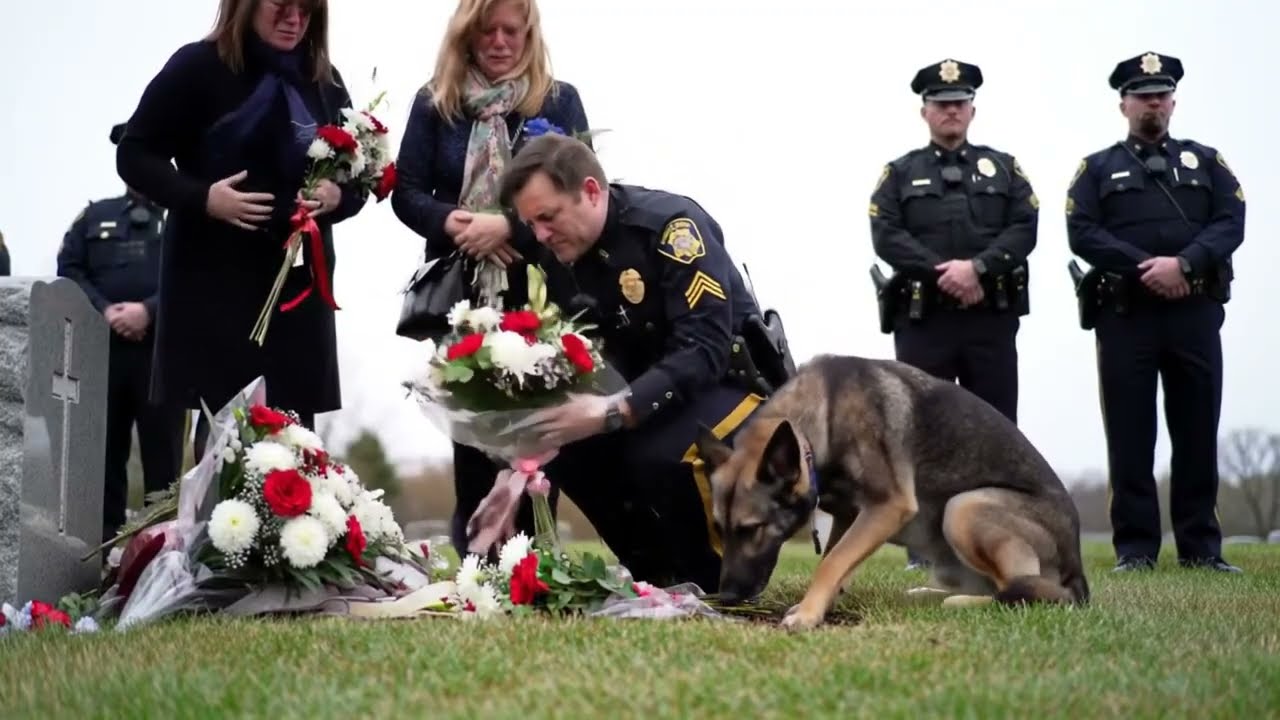 Max the K9 Hero: The True Story of the Dog Who Found His Partner’s ...