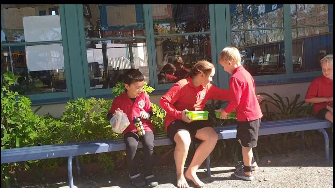 Opua school website movie - YouTube