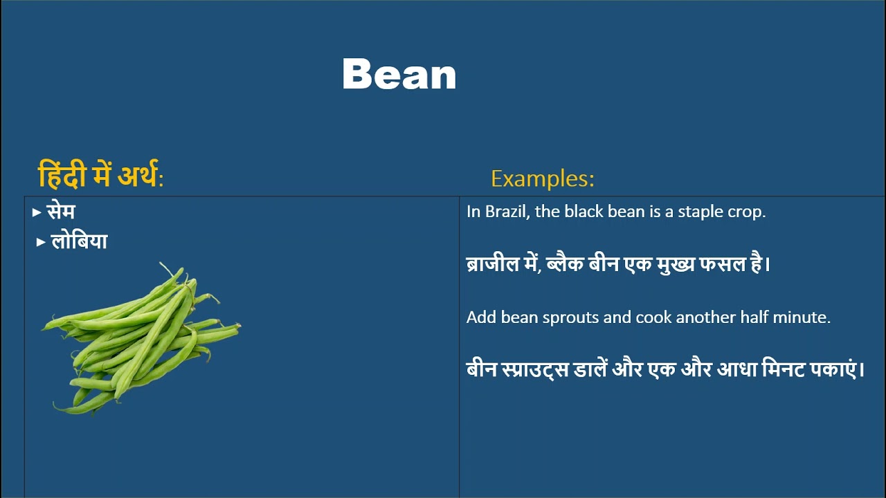 Bean Ka Kya Matlab Hota Hai Bean Meaning In Hindi YouTube