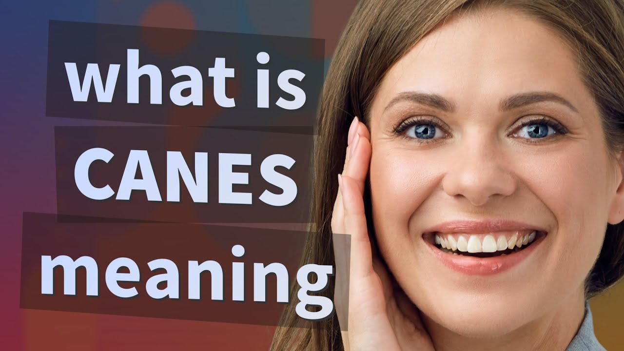 Canes | meaning of Canes - YouTube