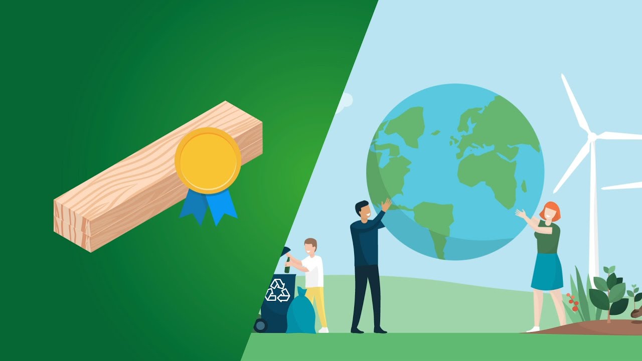 Bio-based wood and furniture adhesives - YouTube