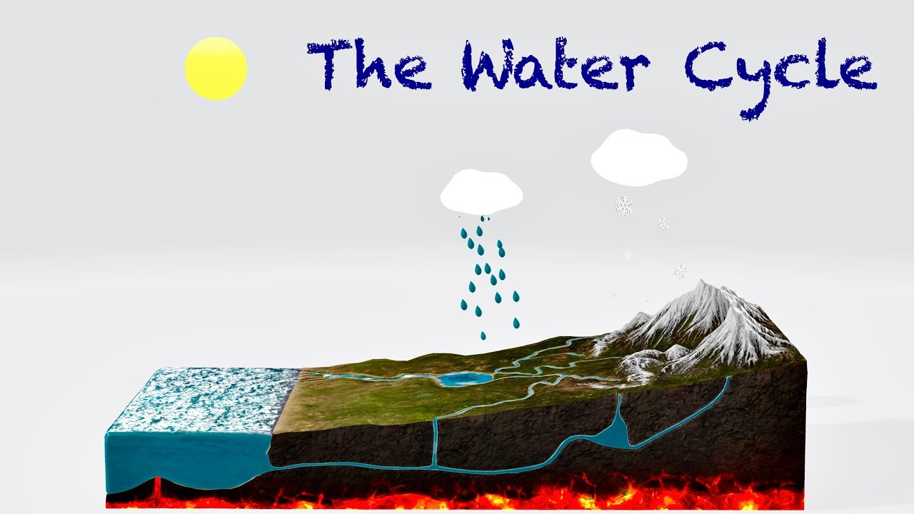 The Water Cycle Explained For Kids- Animation - YouTube