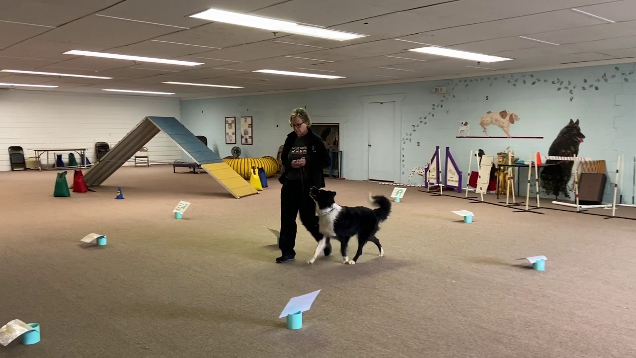 Slide 2 Novice Rally - YouTube