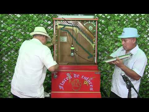 Mira Flores (Nr. 13) -  Caha di Orgel Flores De Colores