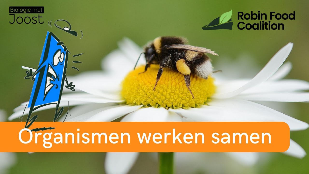 Organismen werken samen | Leer meer over biologische en duurzame ...