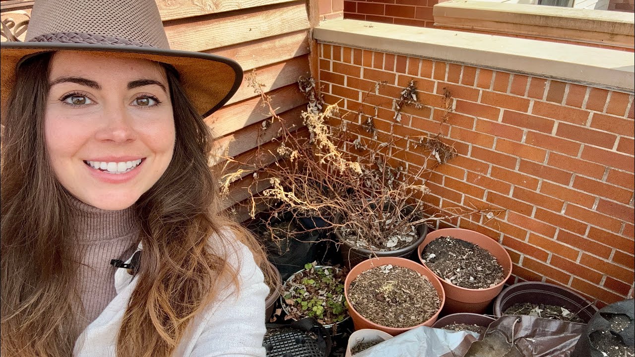 Moving Plants Into Position For The Garden Season! Rooftop Container ...