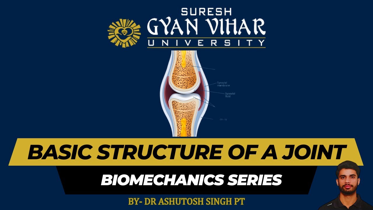 Basic Structure of Joint | Biomechanics - YouTube