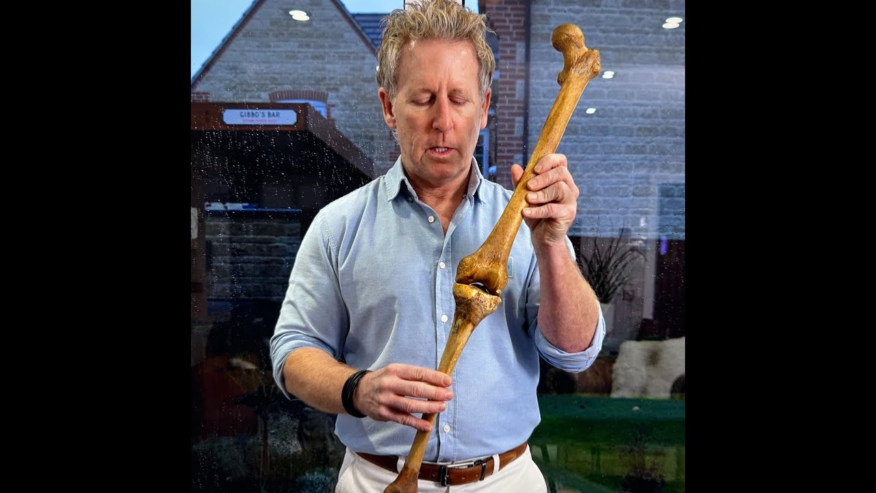 ANATOMY of the KNEE JOINT with REAL HUMAN BONES - YouTube