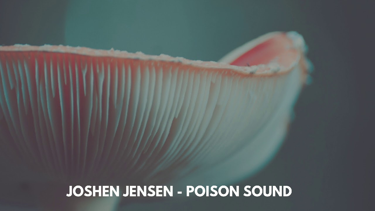 JOSHEN JENSEN (POISON SOUND) - YouTube