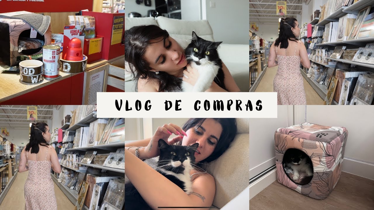 LE COMPRÉ MUCHAS COSAS A MI GATO 💕 Vlog de compras + Haul 🐕🐈‍⬛ - YouTube