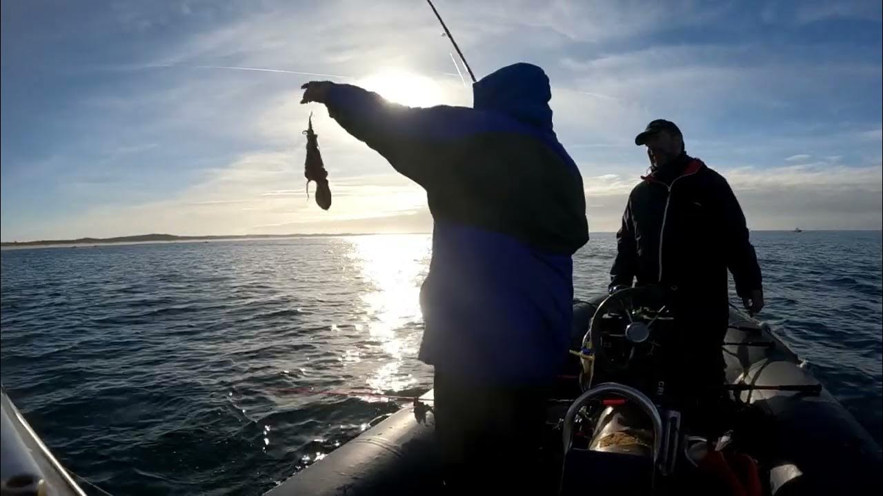 Pesca ao choco - YouTube