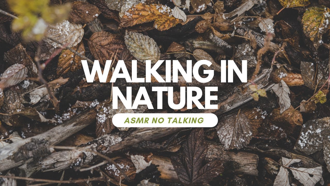 ASMR- Rocks and Leaves- Walking in Nature-ASMR videos- No Talking ASMR ...