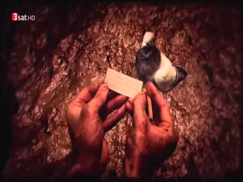Die Legendäre Taube Cher Ami