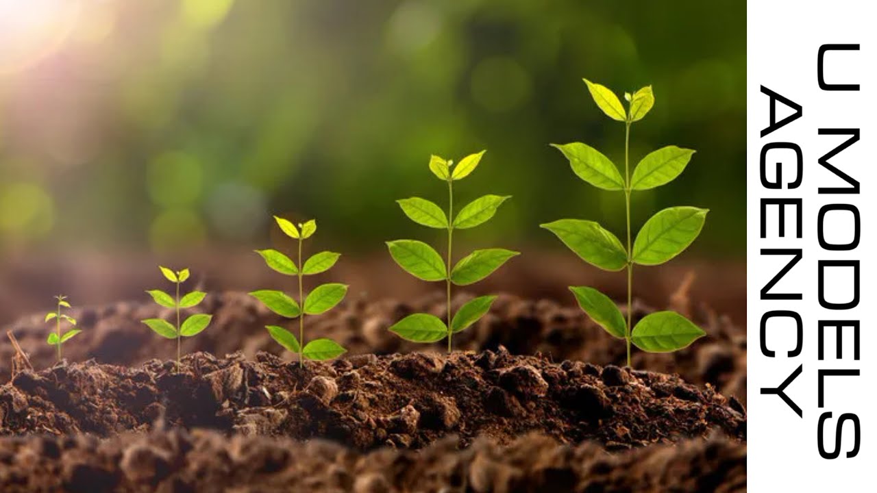 Plant More Tree | Volunteer work - YouTube