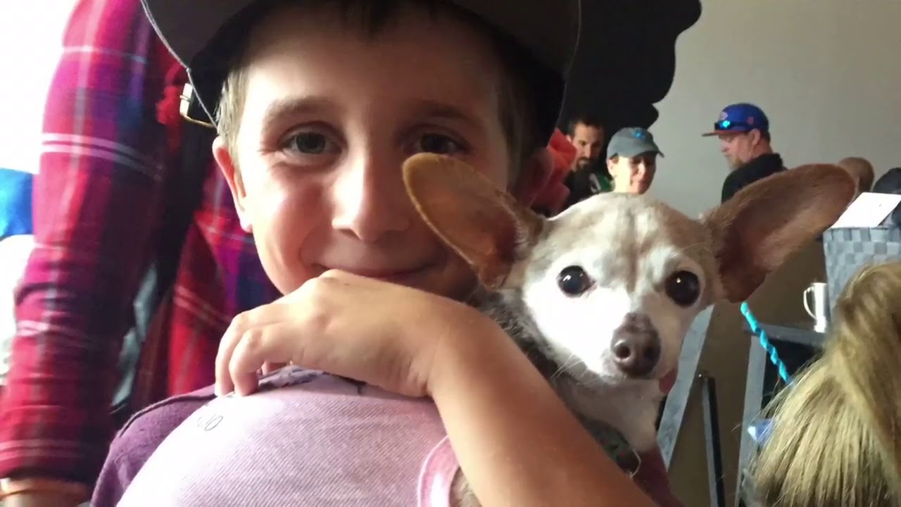 Roo and Brew 2017 - YouTube