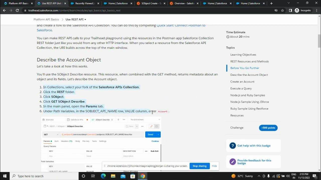 Use REST API | Platform API Basics - YouTube