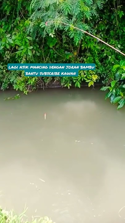 joran bambu di sambar ikan wader #mancing #fypviral #microfishing #mancingwader #ramadan - YouTube