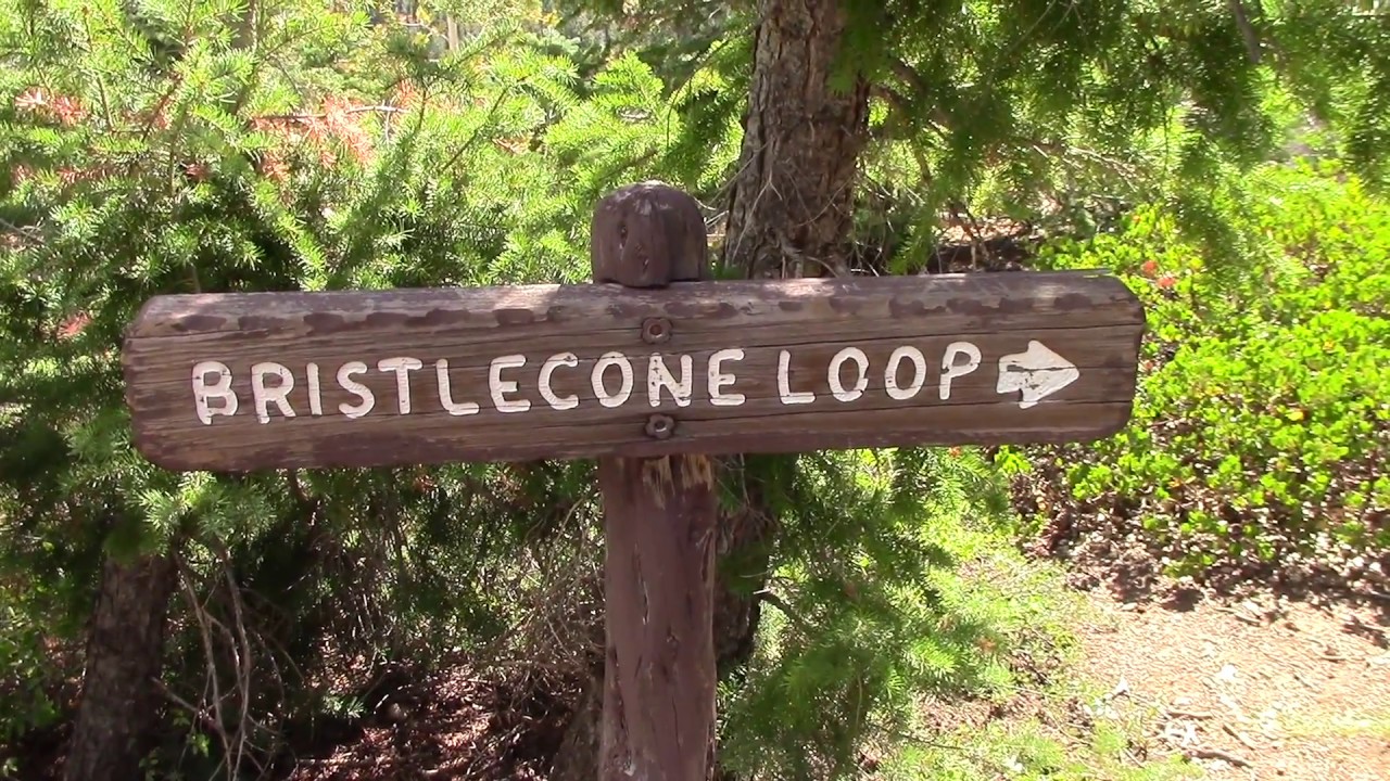 Bristlecone Loop Trail - Bryce Canyon National Park - YouTube