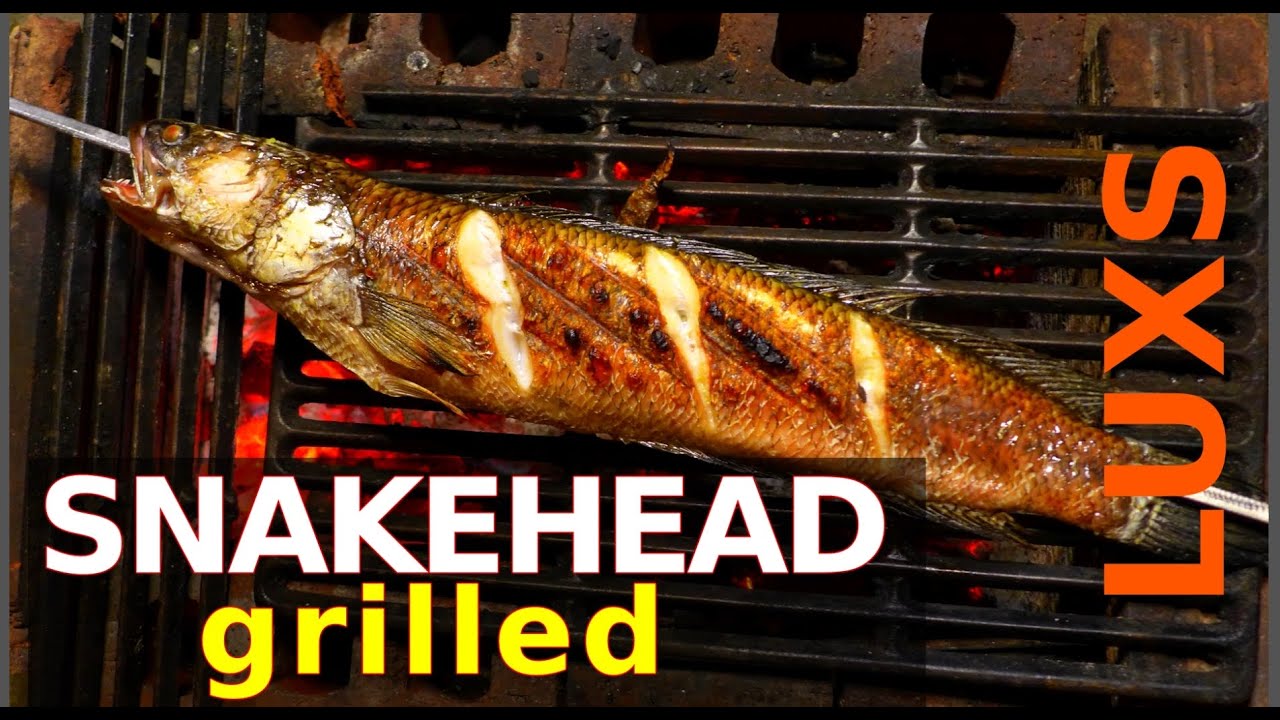 Cooked Snakehead