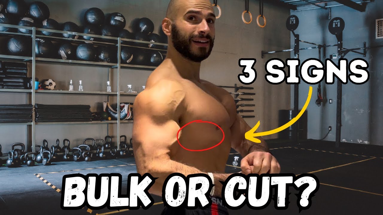 SHOULD YOU BULK OR CUT ? 3 SIGNS TO KNOW - YouTube