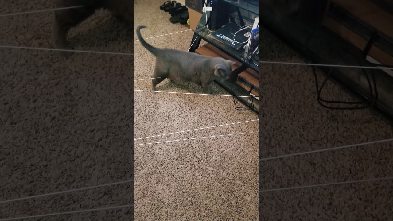 String laser maze fail - YouTube