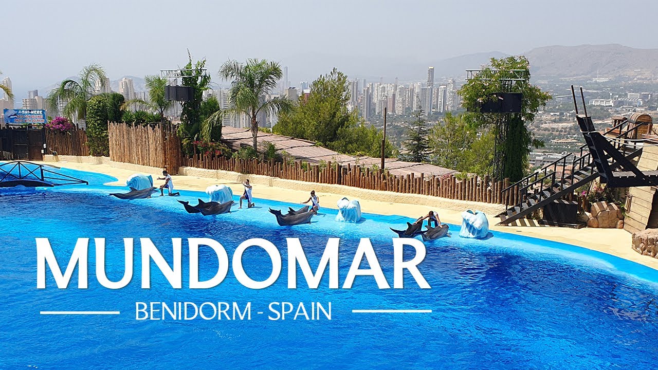 The most beautiful dolphin show in Spain at Mundomar Benidorm - YouTube