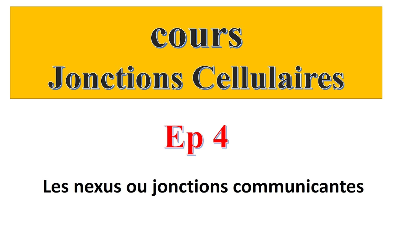 cours jonctions cellulaires Ep4 : Les nexus ou jonctions communicantes ...