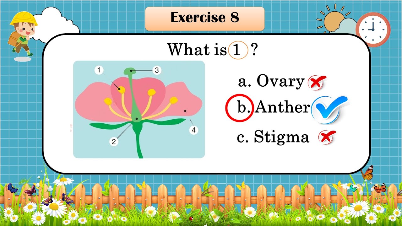 Science Test 3 #science #quiz #sciencegames #primaryschool - YouTube