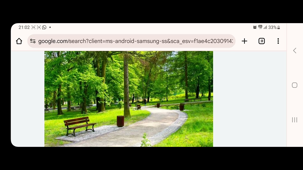 top 5 melhores parques - YouTube