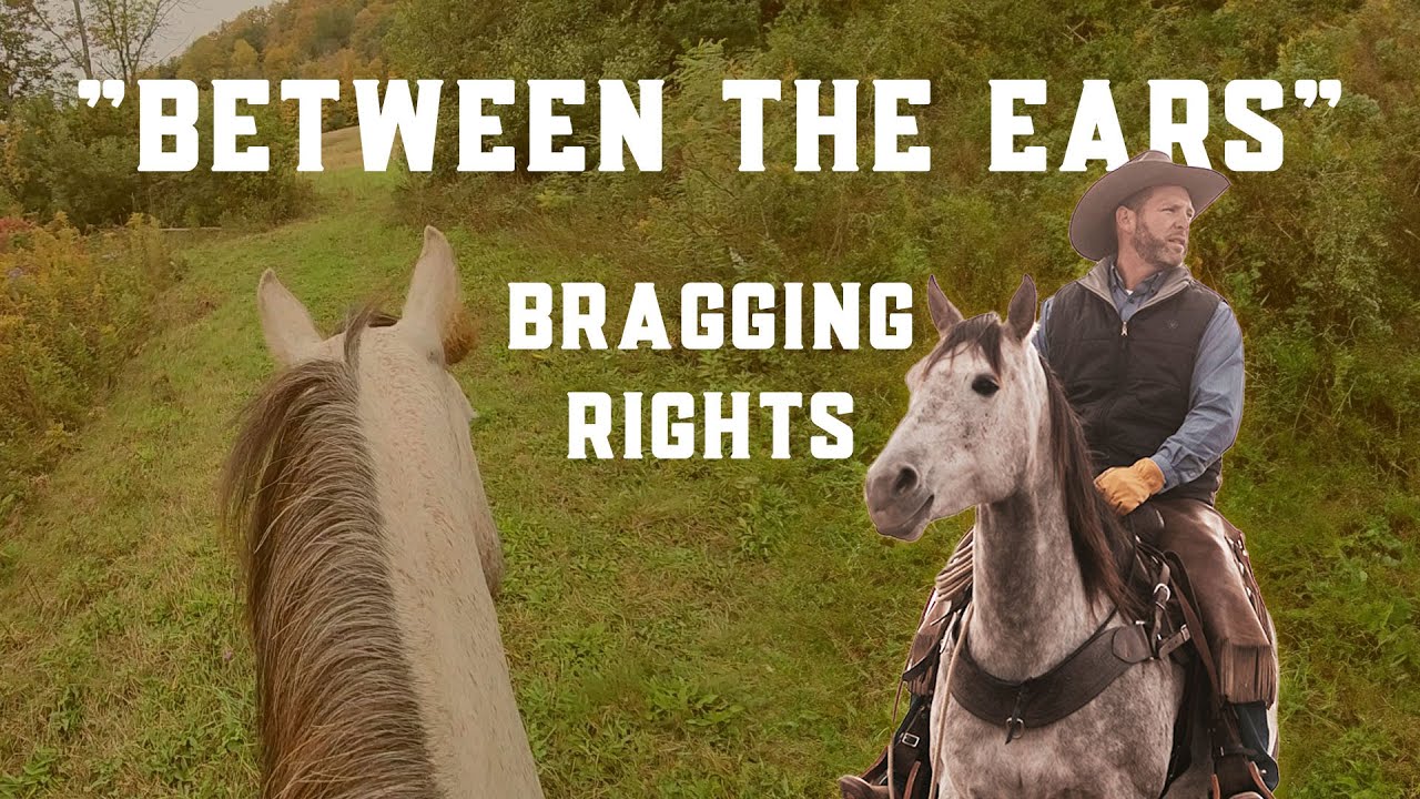 Life Lessons from High Brow Cats: Bragging Rights and Beyond - YouTube