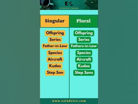 Singular VS Plural Nouns || Part 5 || ESL Advice - YouTube