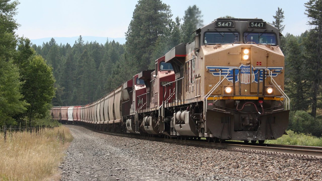 RARE!!!! Union Pacific Leader!!! UP 5447, CP 8522, and CP 9357 lead CP 618 East at Morrissey, BC ...