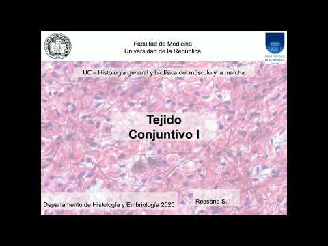 Histología general CBCC2 - T04 - Tejido conjuntivo 1