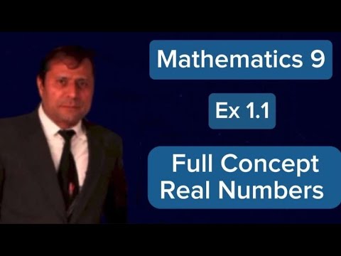 Class 9 Maths | Exercise 1.1 Full Concept | Real Numbers Explained in ...