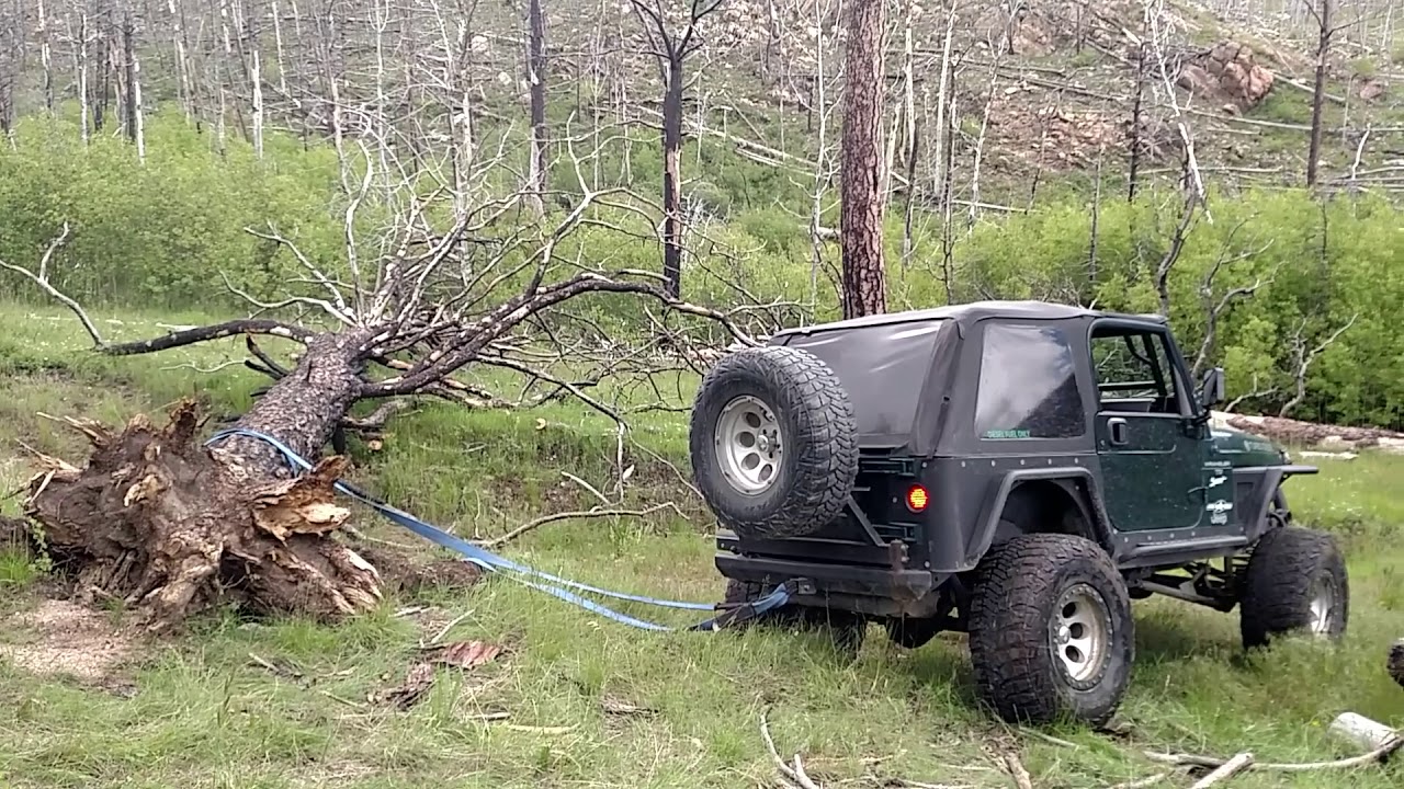 TDI Diesel TJ Jeep Wrangler Tree Pull - YouTube