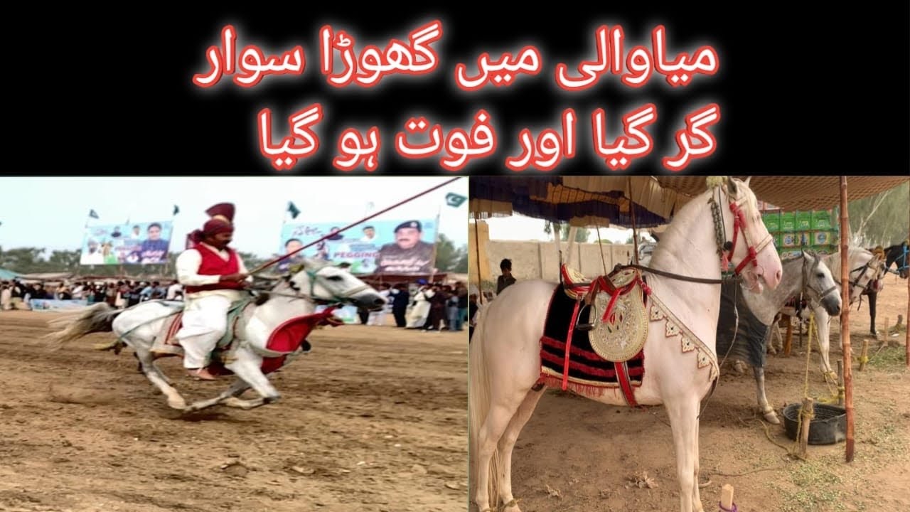 Mianwali Mein Ghoora Sawar Girgaya aur foth ho gaya - YouTube