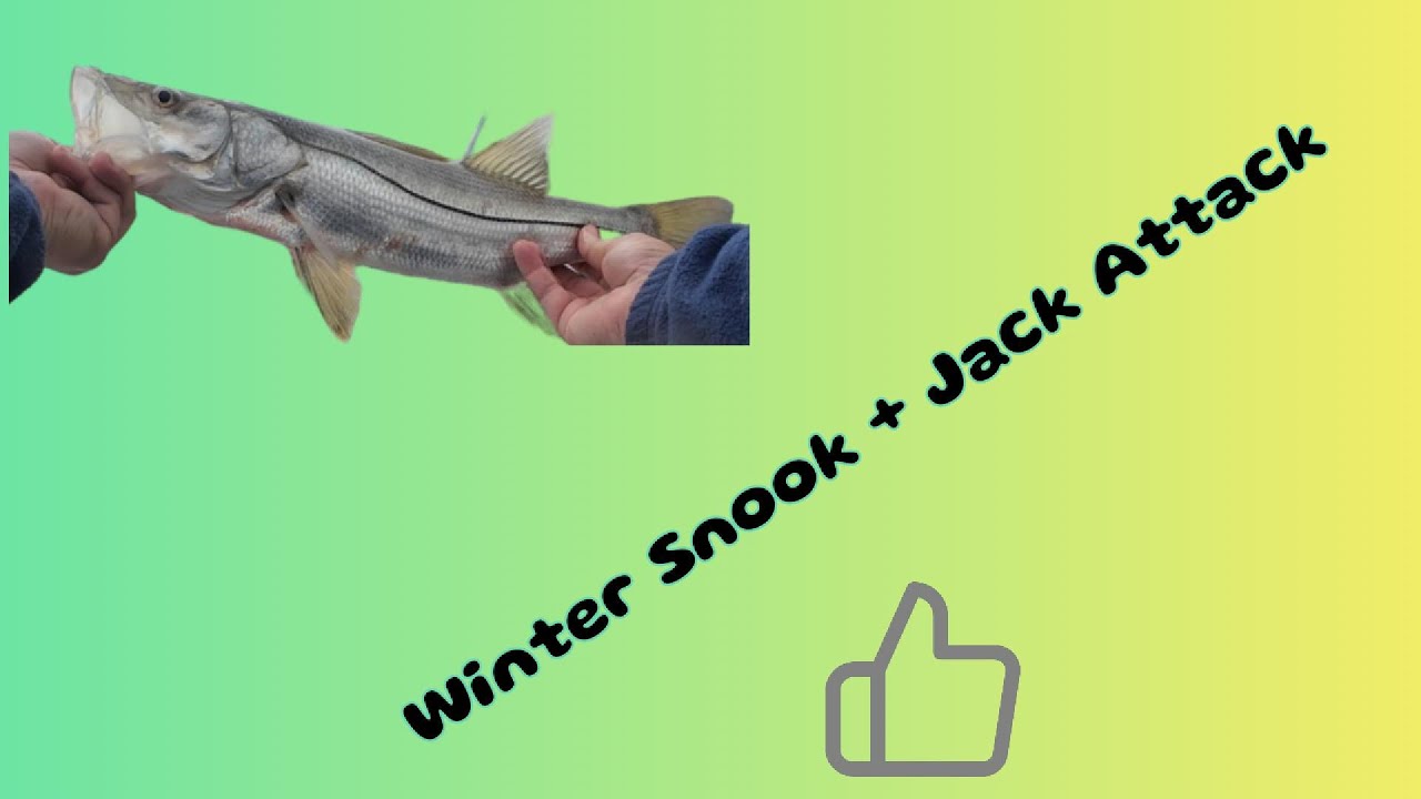 jackattack - YouTube