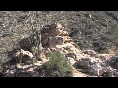 Backside of Desert #4 (Wm. Branham) Sword of the King - YouTube