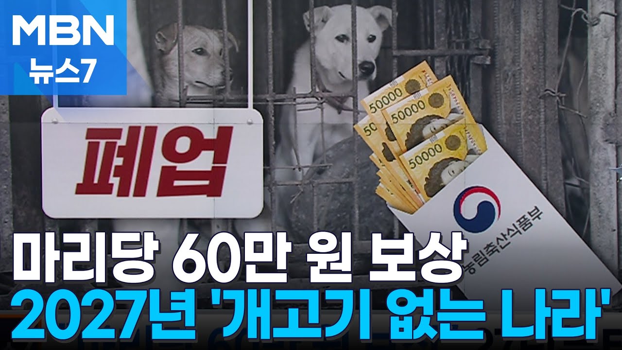 "개 1마리당 60만 원 보상"…2027년 '개고기 없는 나라' [MBN 뉴스7] - YouTube