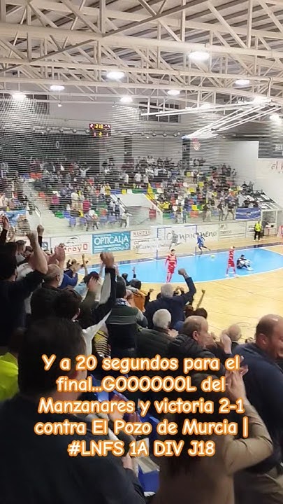 🔷208|EN OTROS MENESTERES| Gol del Manzanares a 20 segundos del final y locura colectiva. #lnfs ...