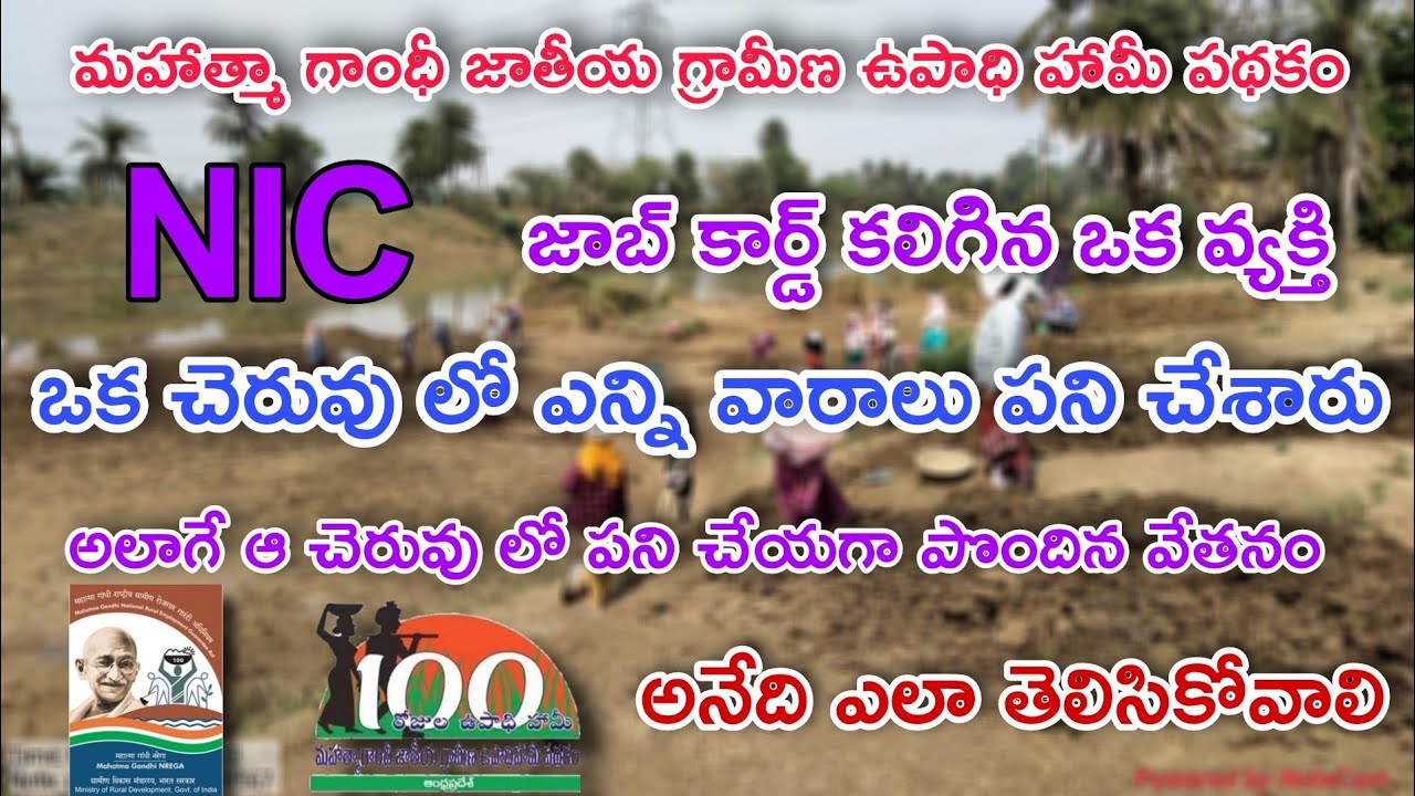 Nrega Work Wise Consoliodate Report of Payment to Worker|nrega nic ap ...