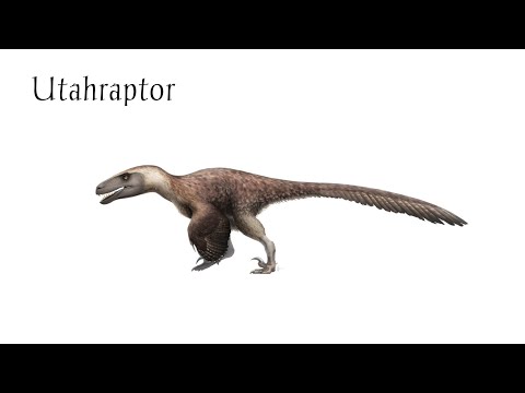 Utahraptor Sounds – The Real Giant Raptor