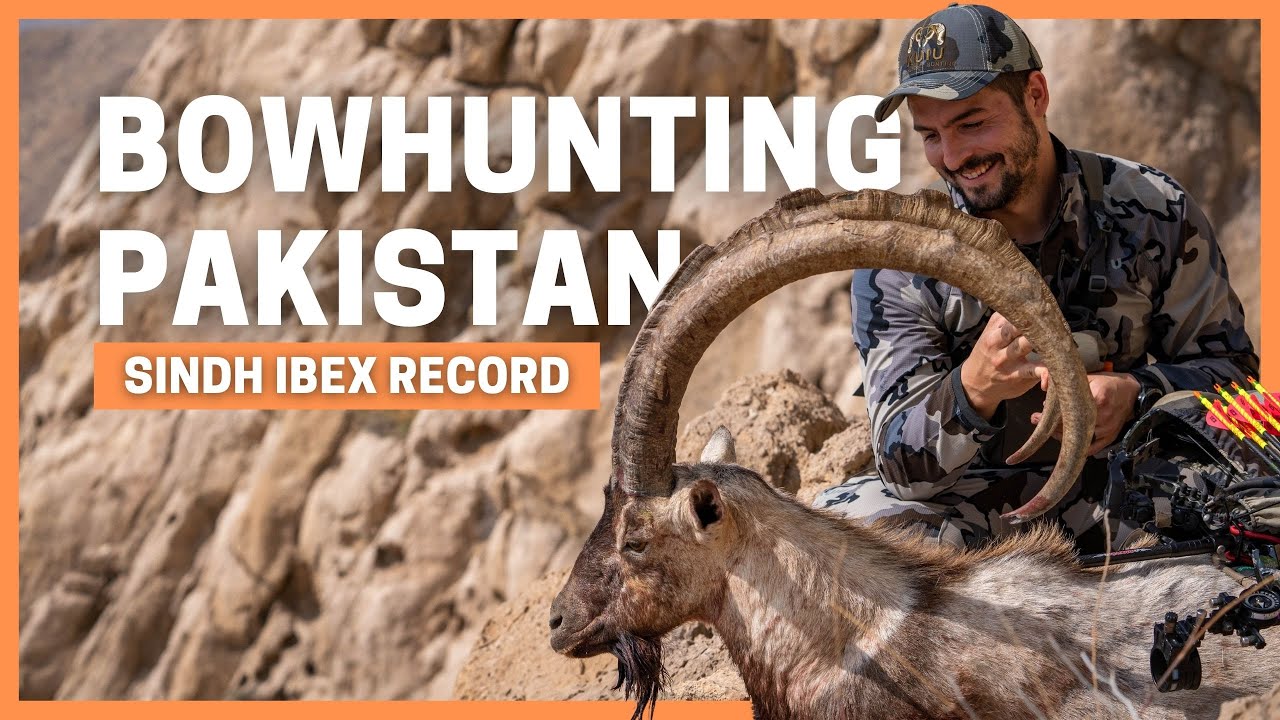 BOWHUNTING WORLD RECORD SINDH IBEX IN PAKISTAN 🔥 FOLLOWING IN MY DAD'S ...
