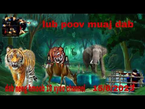 dab neeg 2 yawg yij dab laug mu zov poov tua tsiaj muaj dab tsov tuaj hu txaus ntshai heev li ...