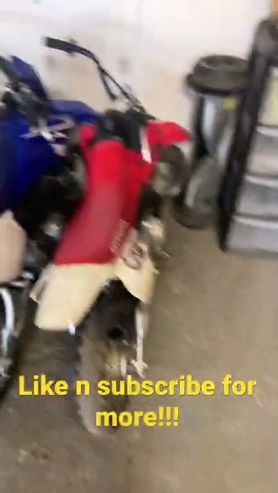 My sons mini bike collection!!! - YouTube