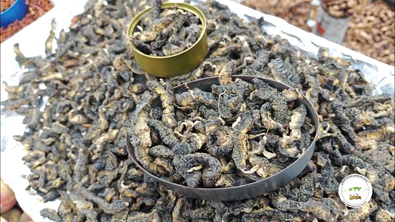 Las Cuetlas - YouTube