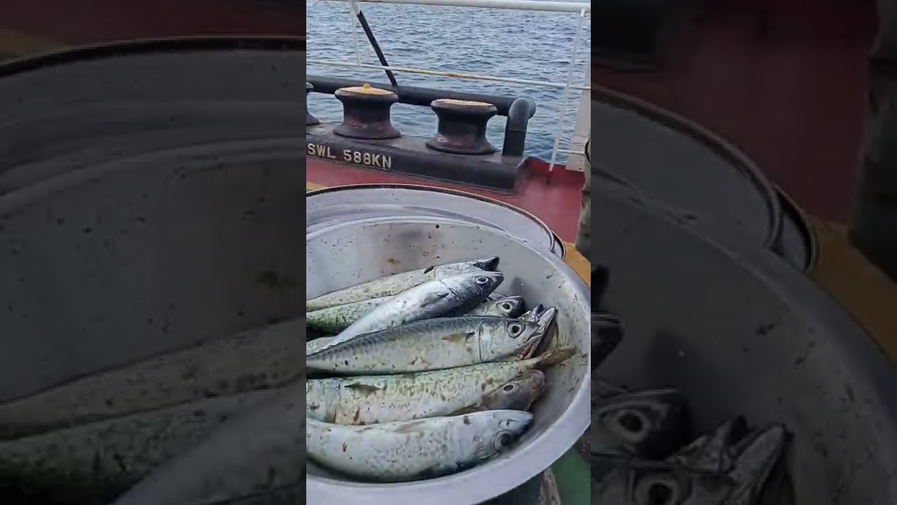 Seaman fishing | Pinoy seaman - YouTube
